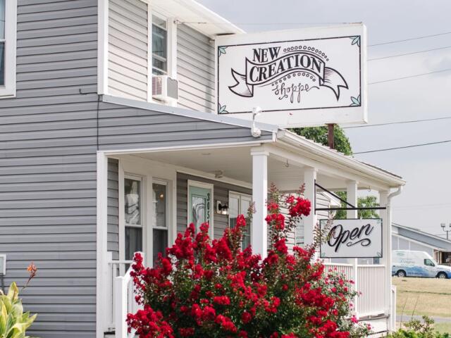 McSpotlight: New Creation VA combats human trafficking - Cville Right Now